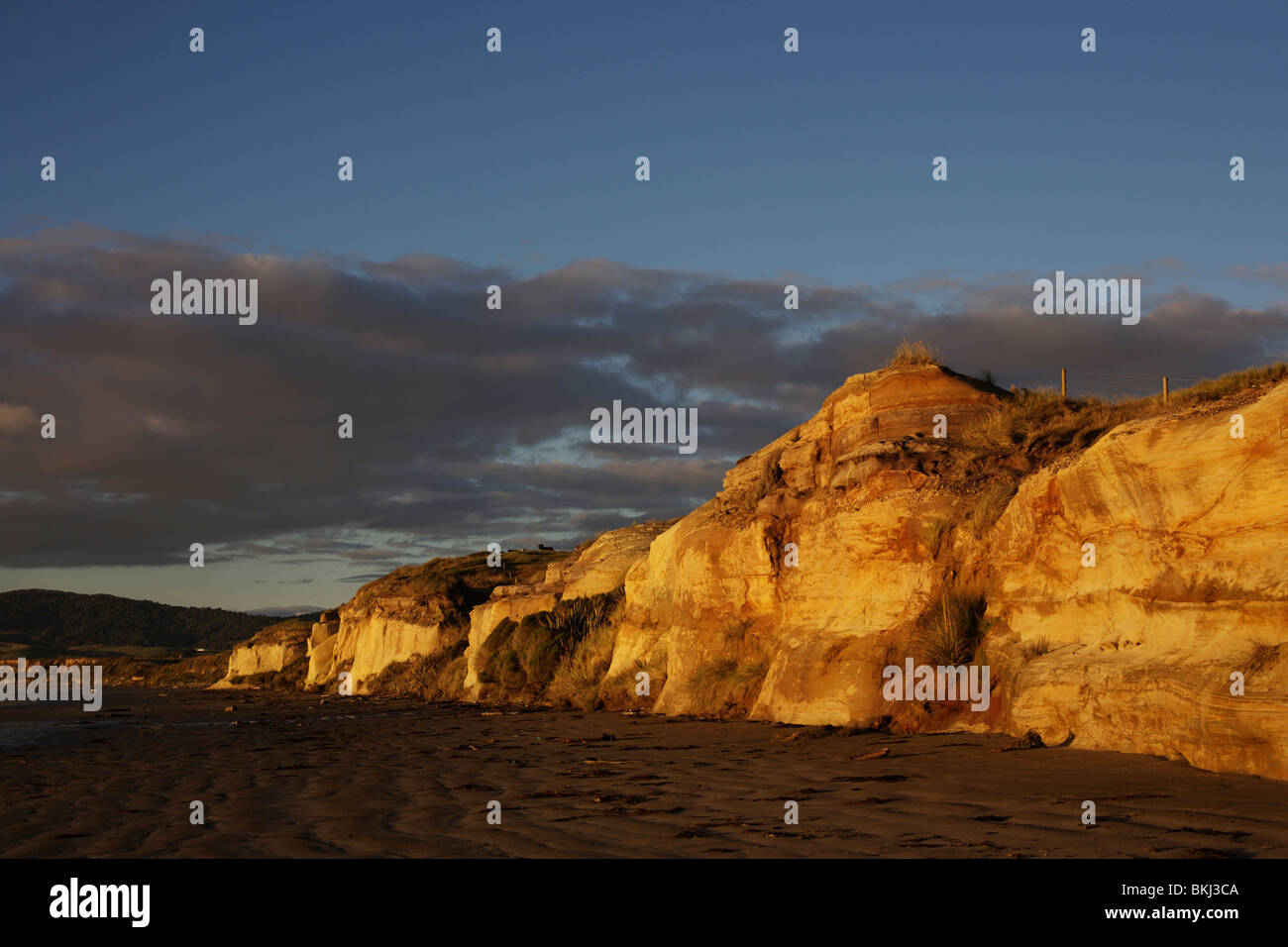 Monkey island beach new zealand hi-res stock photography and images - Alamy