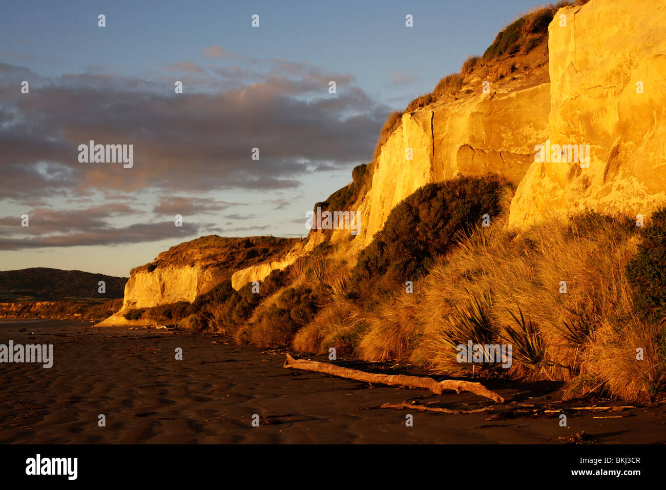 Monkey island beach new zealand hi-res stock photography and images - Alamy