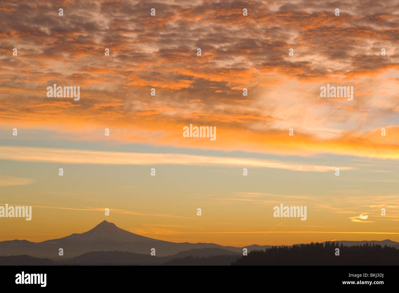 Mount tabor portland hi-res stock photography and images - Alamy