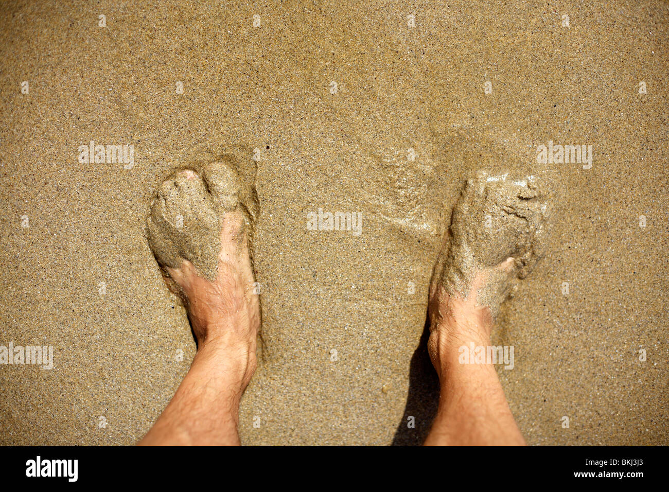 A man's feet standing in wet sand Stock Photo - Alamy
