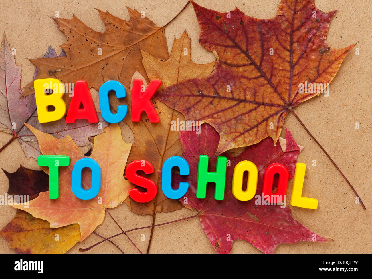 back 2 school Stock Photo - Alamy