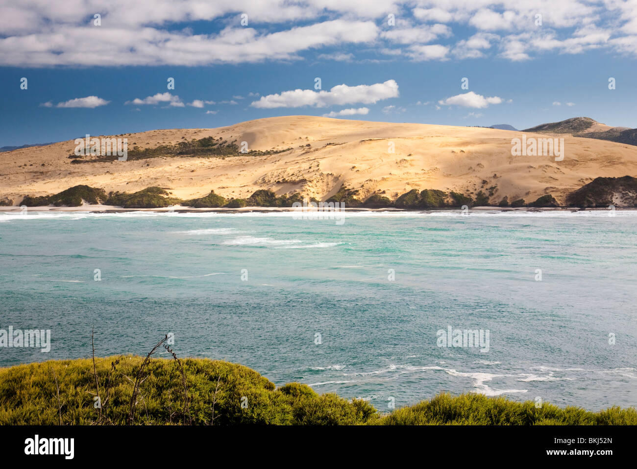 View across Hokianga Harbour from Omapere, North Island, New Zealand ...