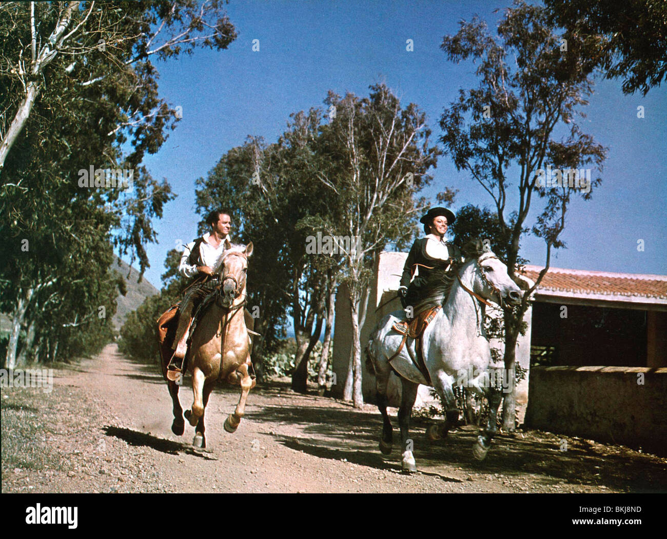 CATLOW (1971) RICHARD CRENNA, JO ANN PFLUNG CATL 009 FOH Stock Photo ...