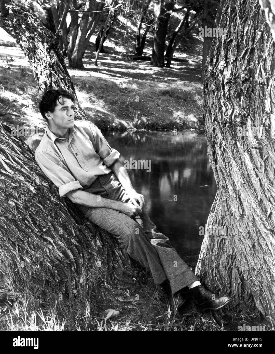 CHAD HANNA (1940) HENRY FONDA, HENRY KING (DIR) CHNA 002P Stock Photo ...