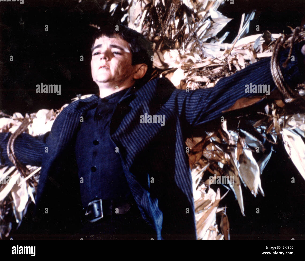 Children of the corn film 1984 hi-res stock photography and images - Alamy