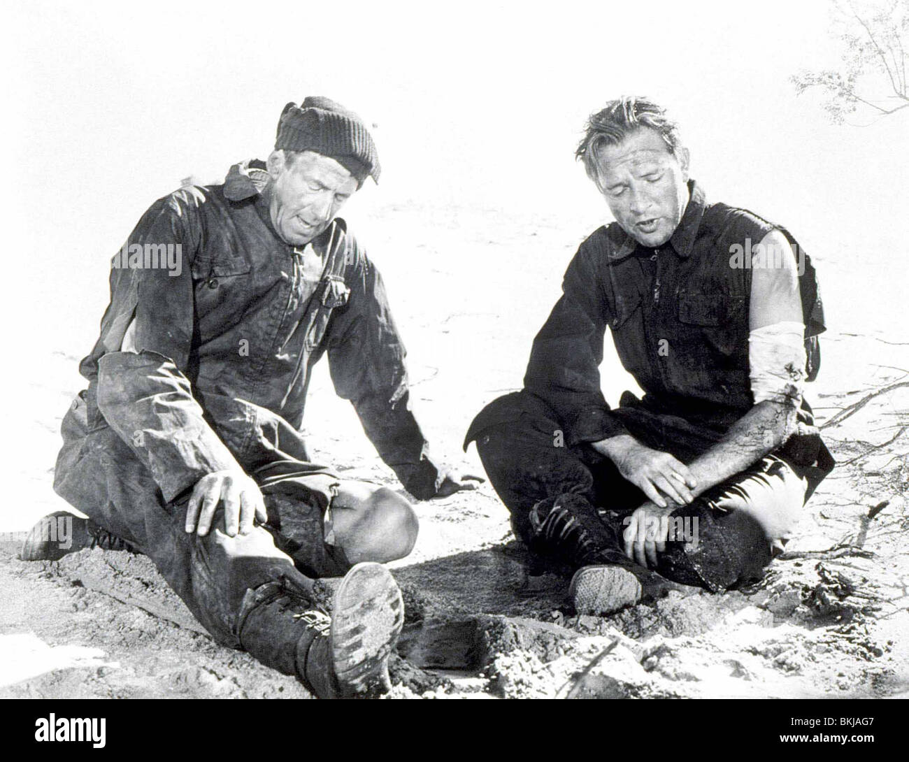 THE DESERT RATS (1953) RICHARD BURTON DESR 001-02 Stock Photo - Alamy