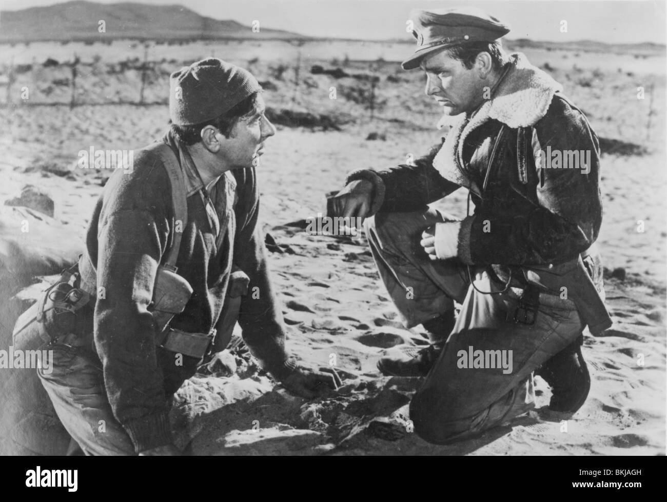 Desert rats and richard burton hi-res stock photography and images - Alamy