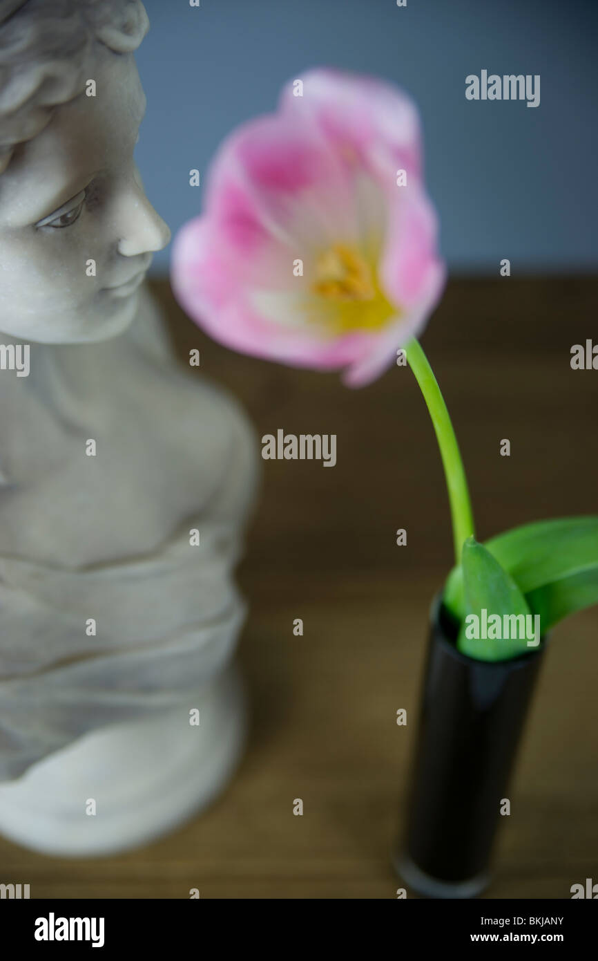 Tulip and Statue Stock Photo - Alamy