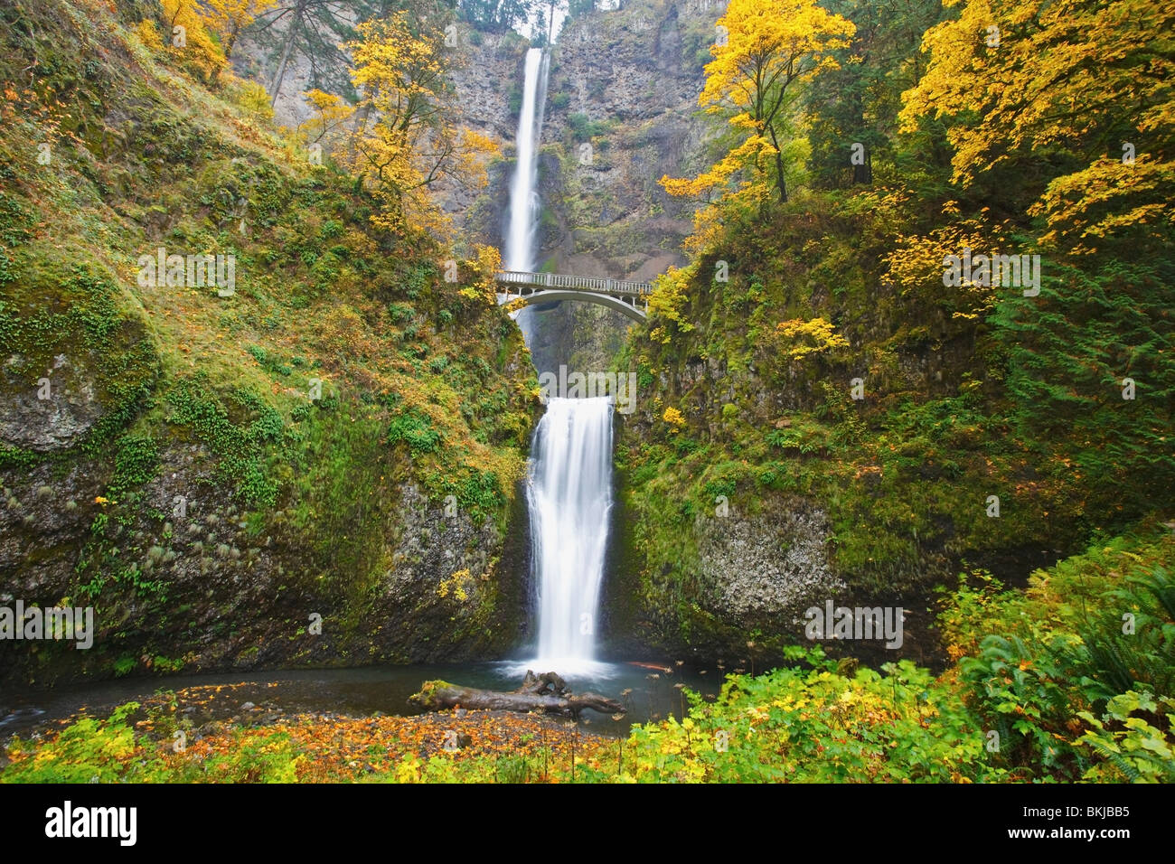 Waterfalls Falling Into A Pool Of Water In A Forested Area Stock Photo ...