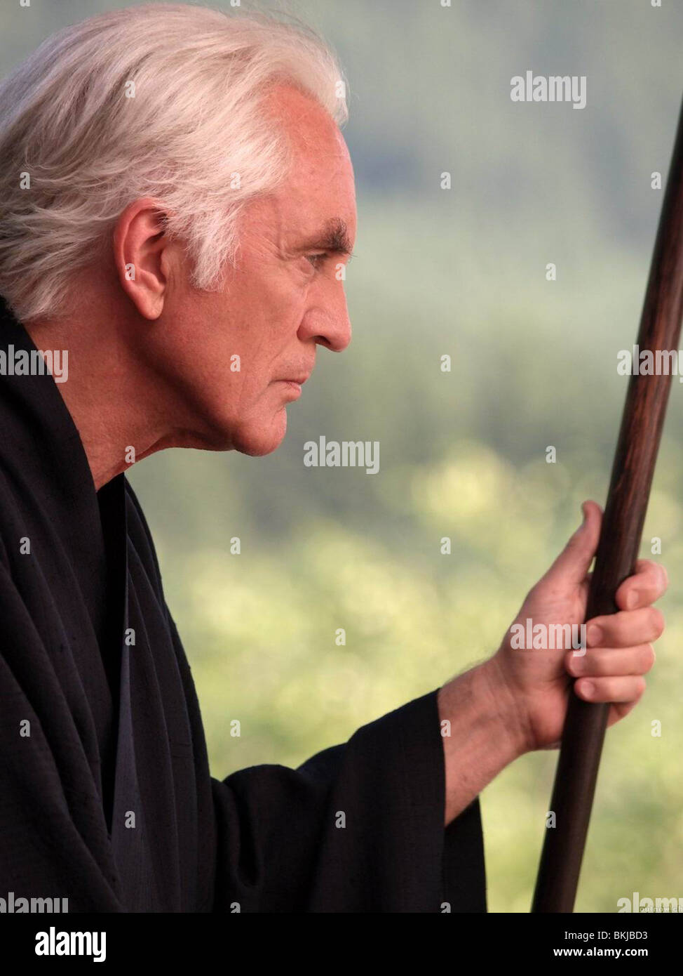 ELEKTRA -2005 TERENCE STAMP Stock Photo - Alamy