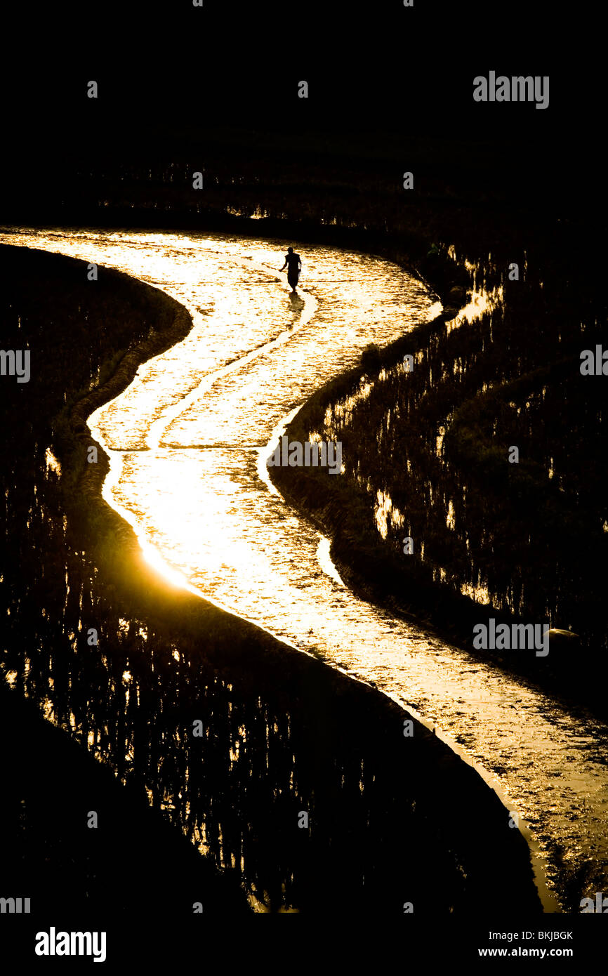 Farmer crop philippines hi-res stock photography and images - Alamy