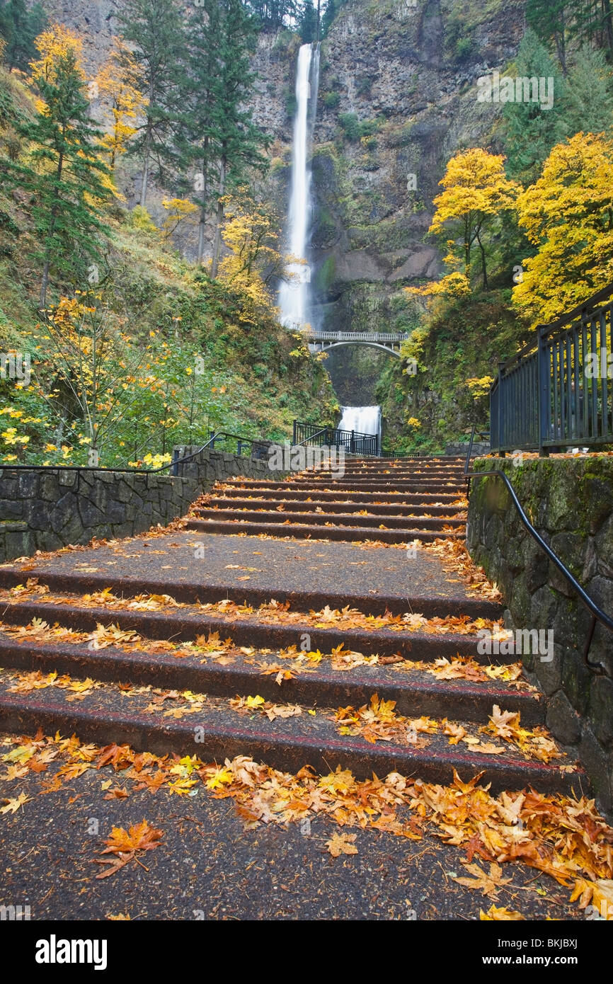 Paved Steps Leading Up To A Bridge And Waterfall In Autumn Stock Photo ...