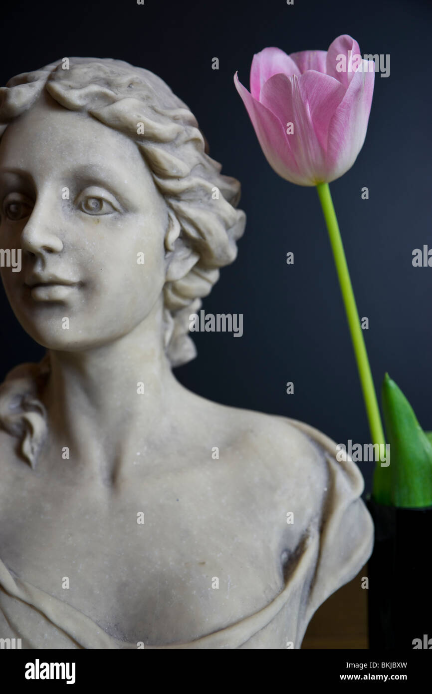 Tulip statue hi-res stock photography and images - Alamy