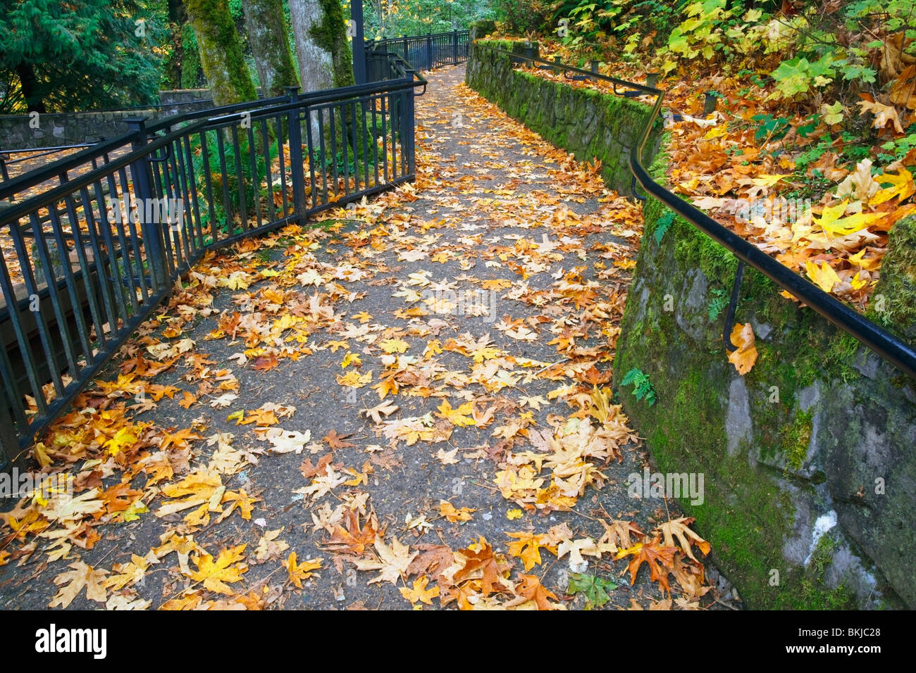 A Paved Trail With A Railing In Autumn Stock Photo - Alamy