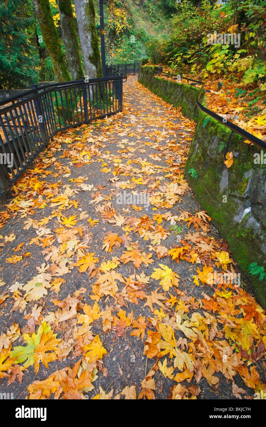 A Paved Trail With A Railing In Autumn Stock Photo - Alamy