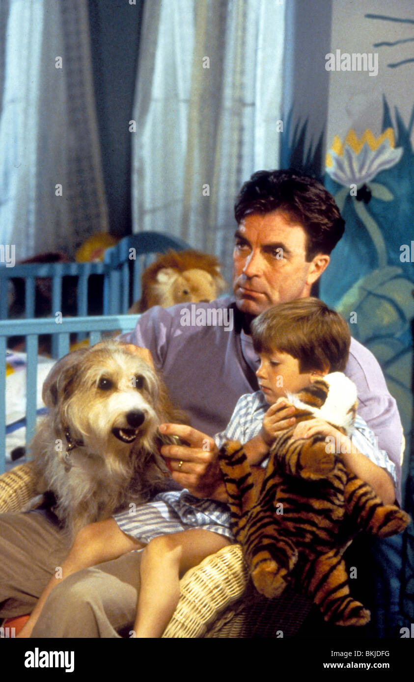 FOLKS -1992 TOM SELLECK Stock Photo - Alamy