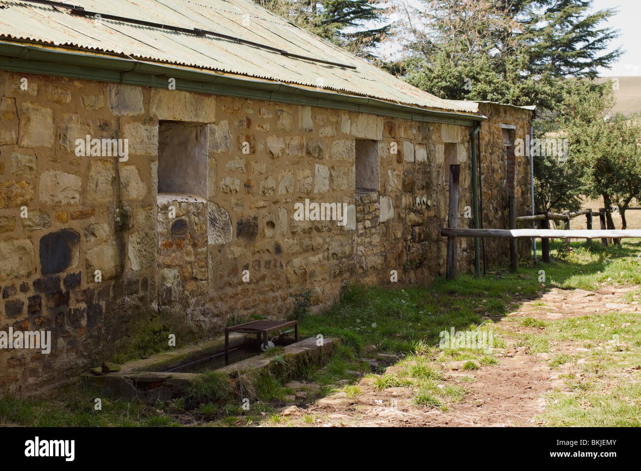 Rustic stone cow-shed or byre with corrugated tin roof. Midlands ...