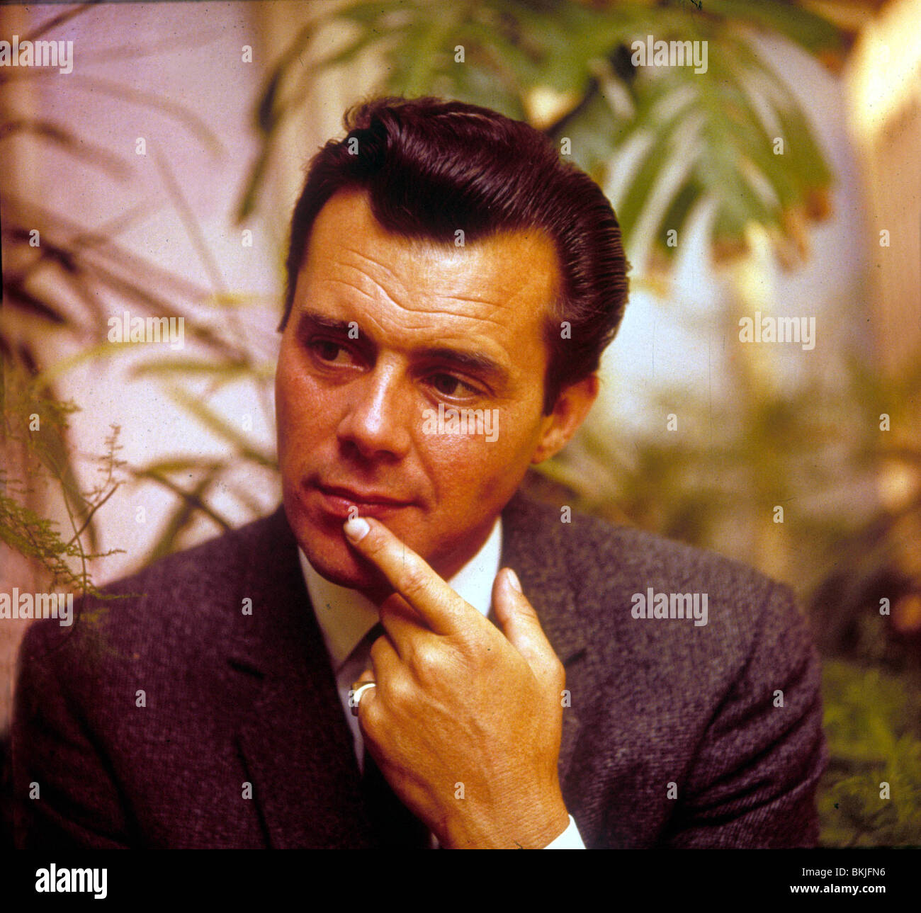 Dirk i hi-res stock photography and images - Alamy