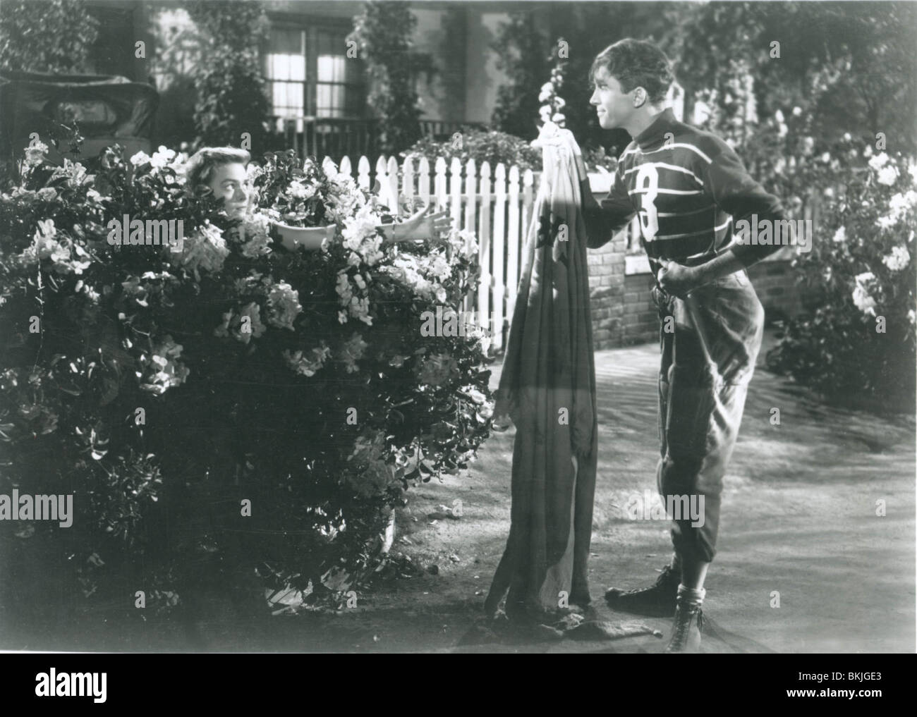 IT'S A WONDERFUL LIFE (1946) DONNA REED, JAMES STEWART IWL 016P Stock ...