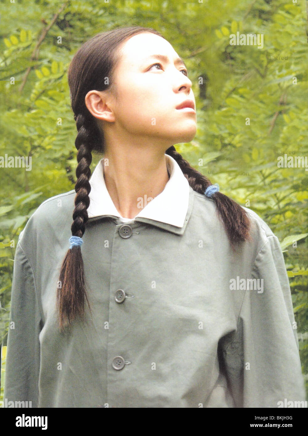 KONG QUE (2005) PEACOCK (ALT) ZHANG JINGCHU KONQ 001-A Stock Photo - Alamy