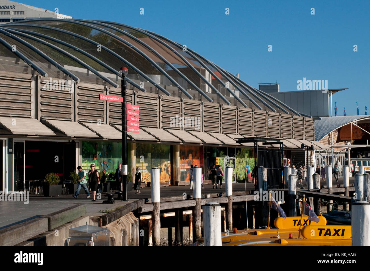 Australian city wildlife hi-res stock photography and images - Alamy