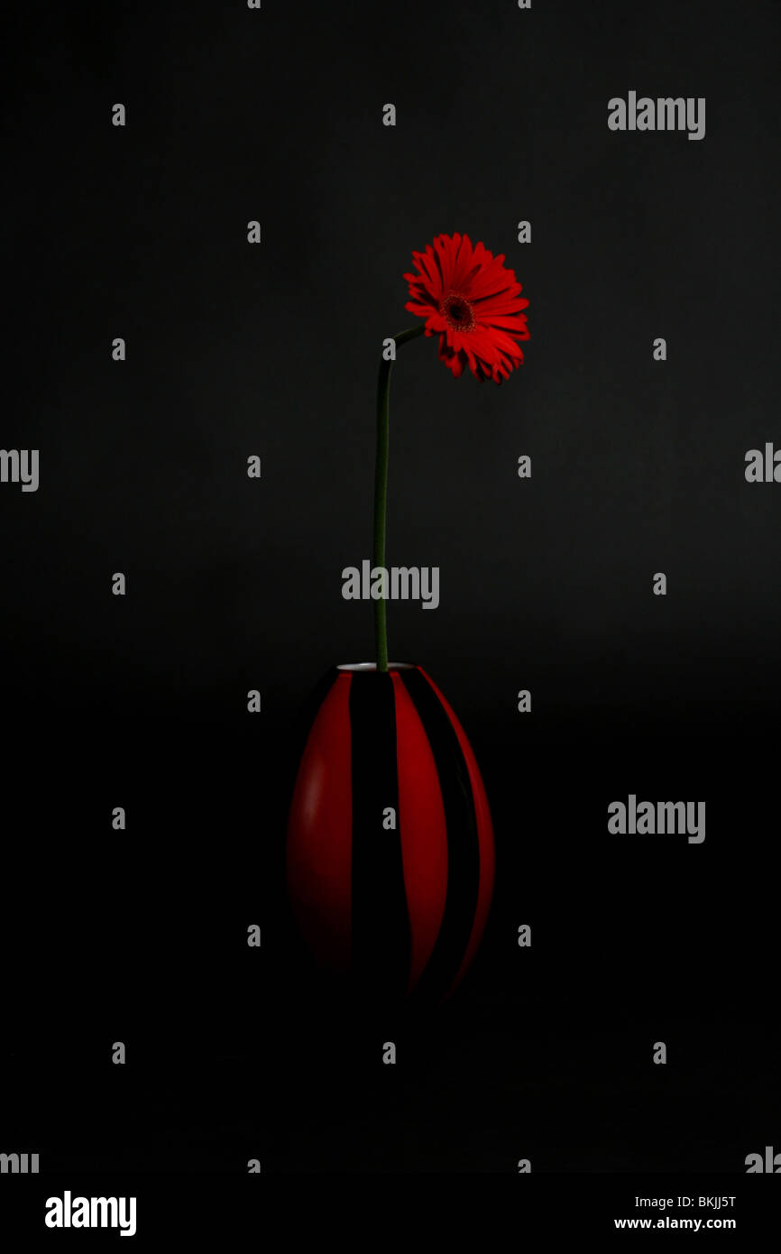 Red black vase hi-res stock photography and images - Alamy