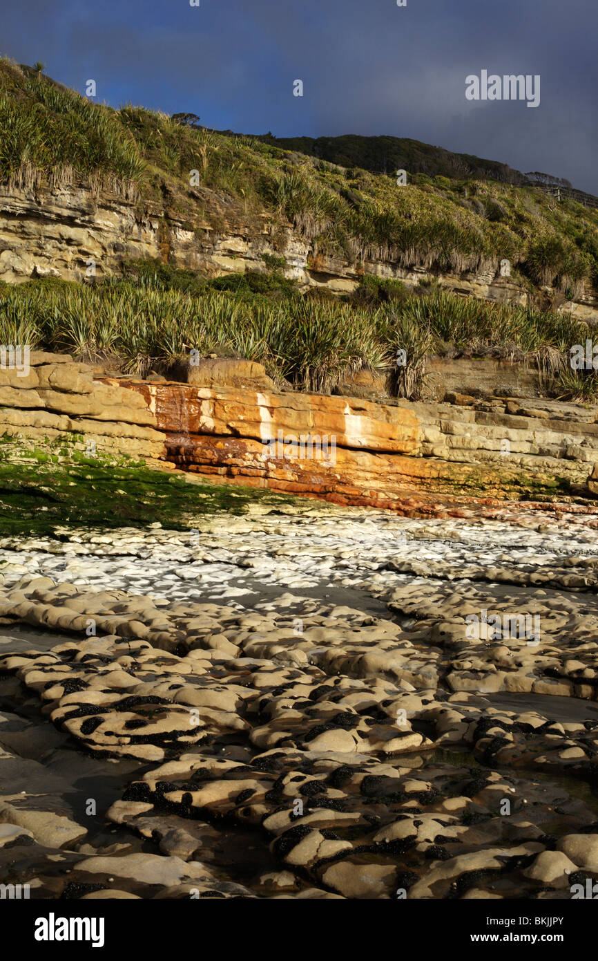 Rapahoe Beach on the West Coast of the South Island of New Zealand ...
