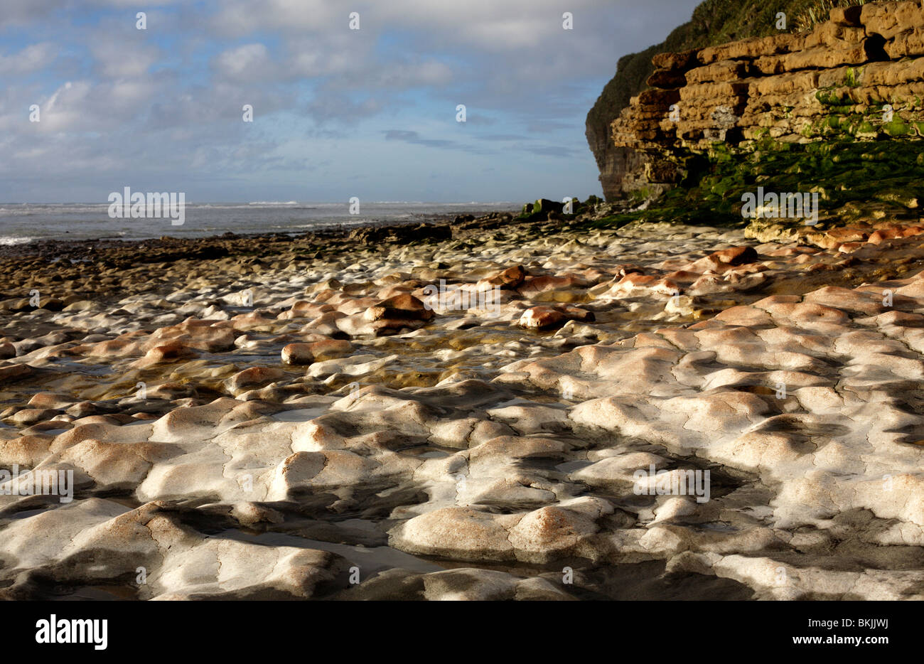 Rapahoe Beach on the West Coast of the South Island of New Zealand ...