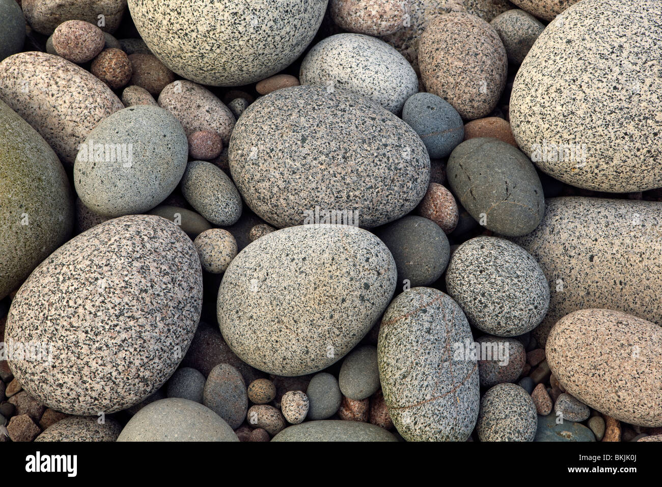 A photograph of smooth round granite rocks on a beach Stock Photo - Alamy