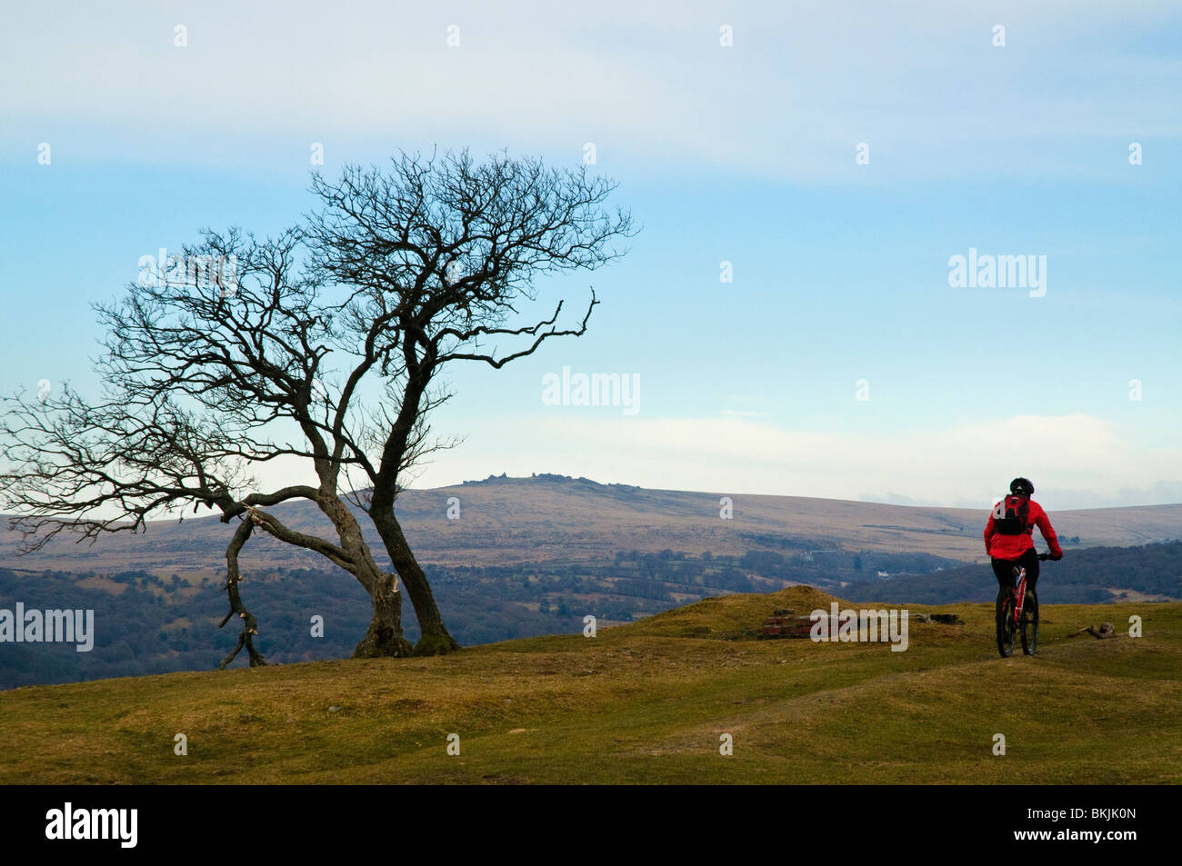 Devon mountain hi-res stock photography and images - Alamy