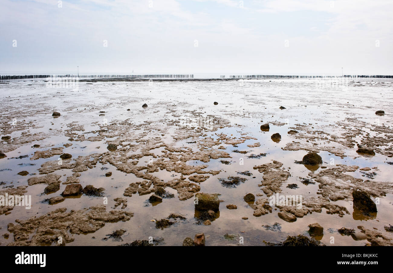 Low tide at East Mersea in Essex Stock Photo - Alamy