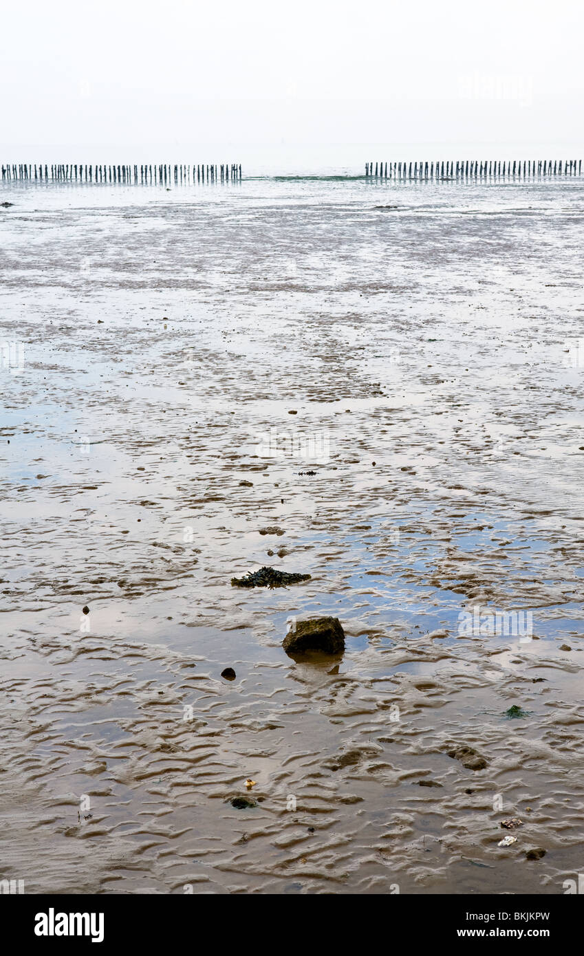 Breakwaters in the mudflats hi-res stock photography and images - Alamy