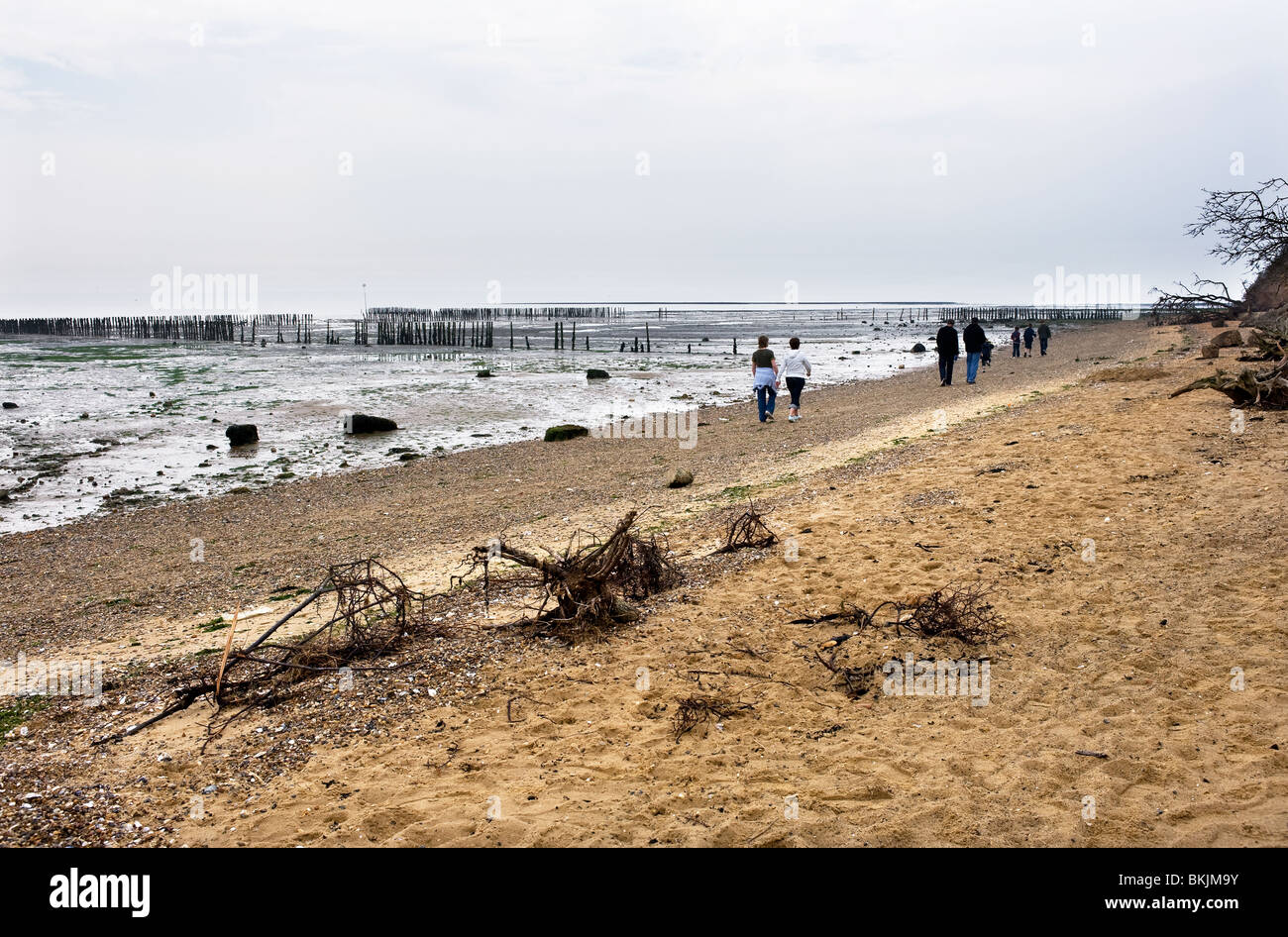 East mersea beach hi-res stock photography and images - Alamy
