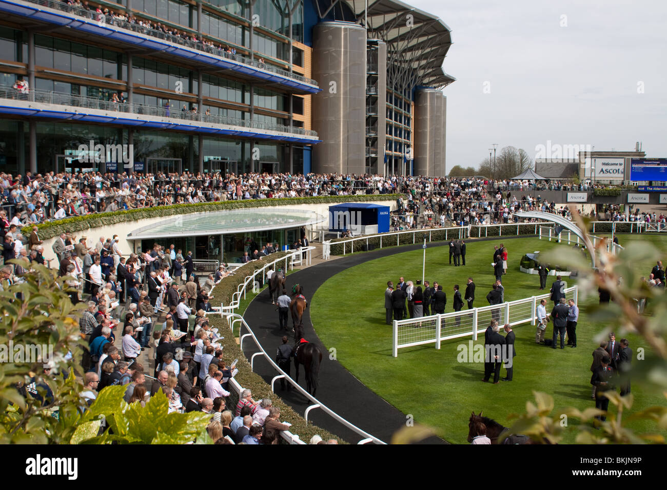 The ascot parade ring hi-res stock photography and images - Alamy