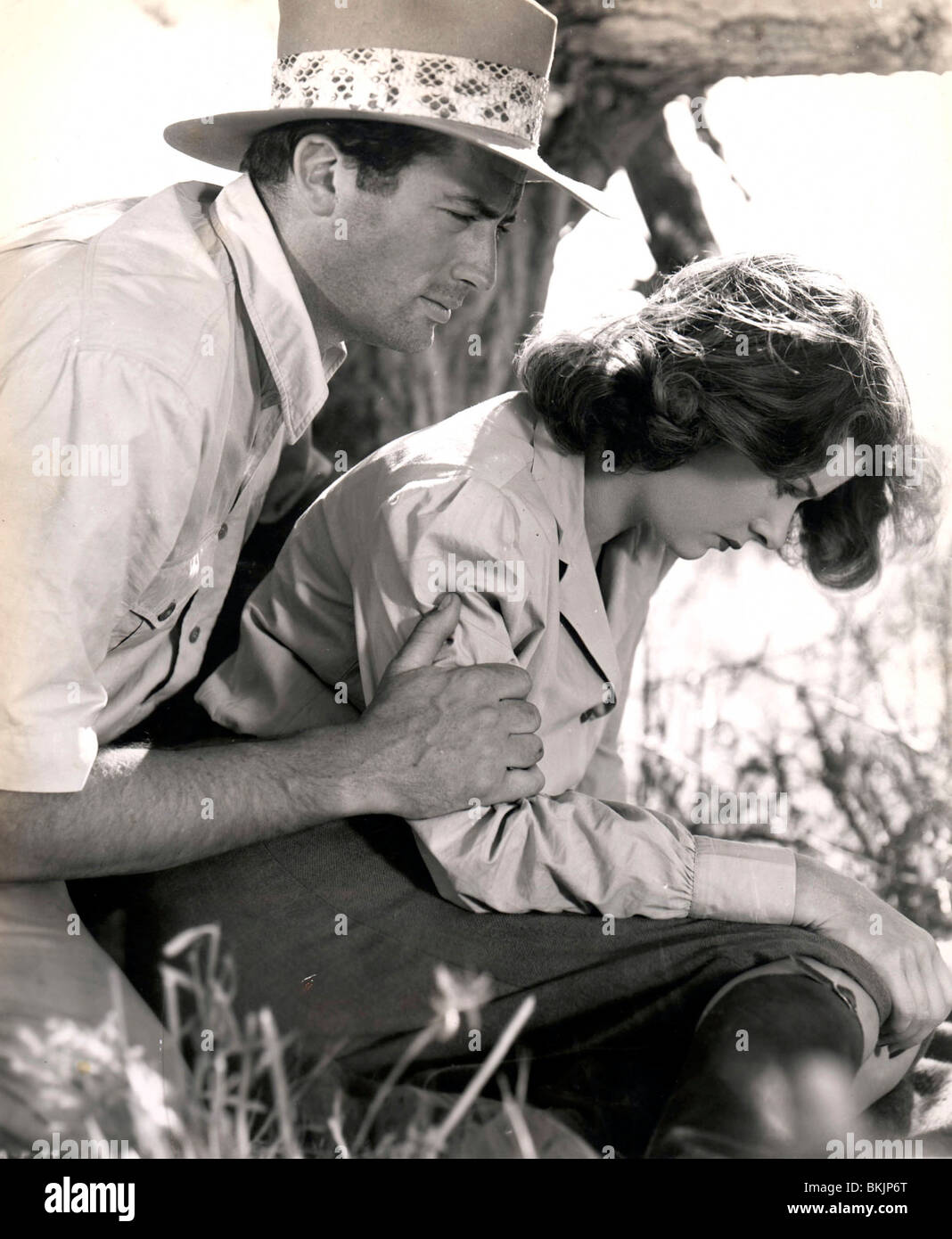 THE MACOMBER AFFAIR (1947) GREGORY PECK, JOAN BENNETT MACA 005 P Stock ...