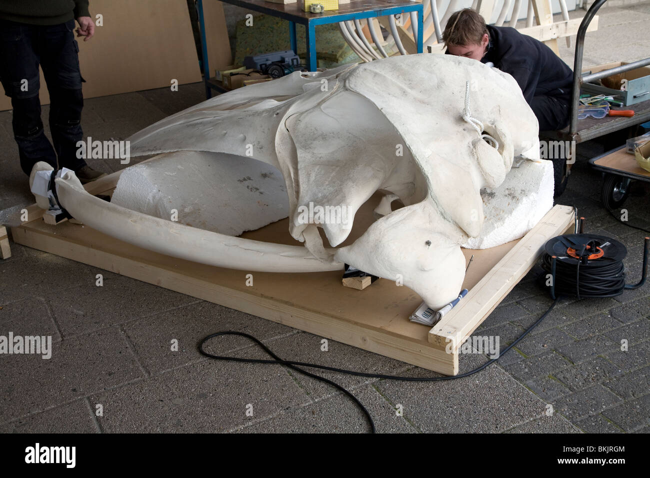 Skeleton building hi-res stock photography and images - Alamy