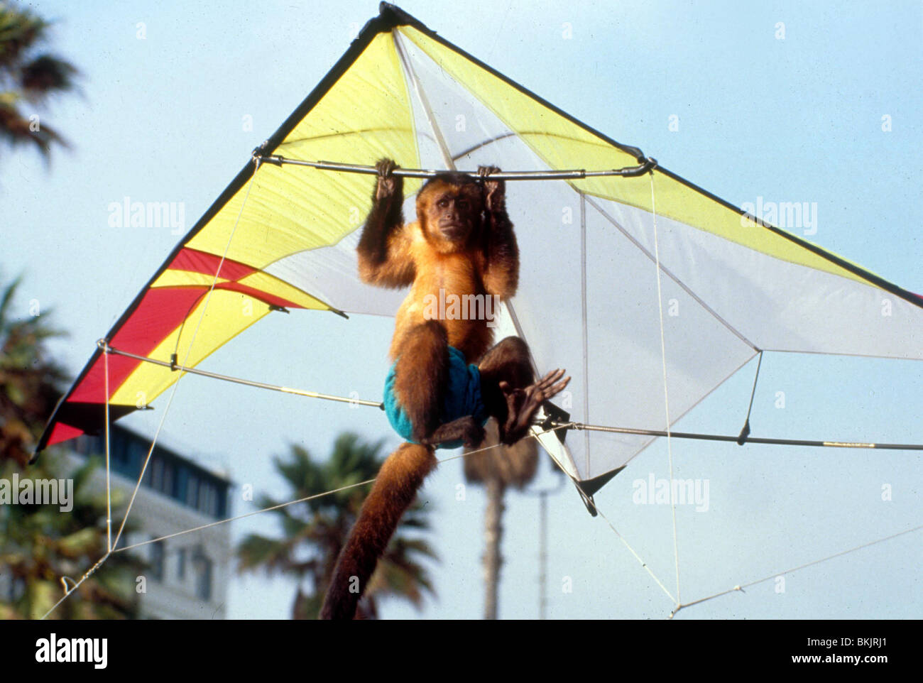 MONKEY TROUBLE -1994 Stock Photo - Alamy