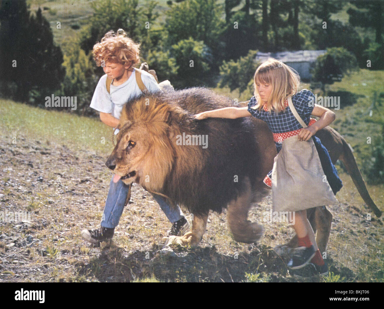 NAPOLEON AND SAMANTHA (1972) JOHNNY WHITAKER, JODIE FOSTER NPS 003FOH ...