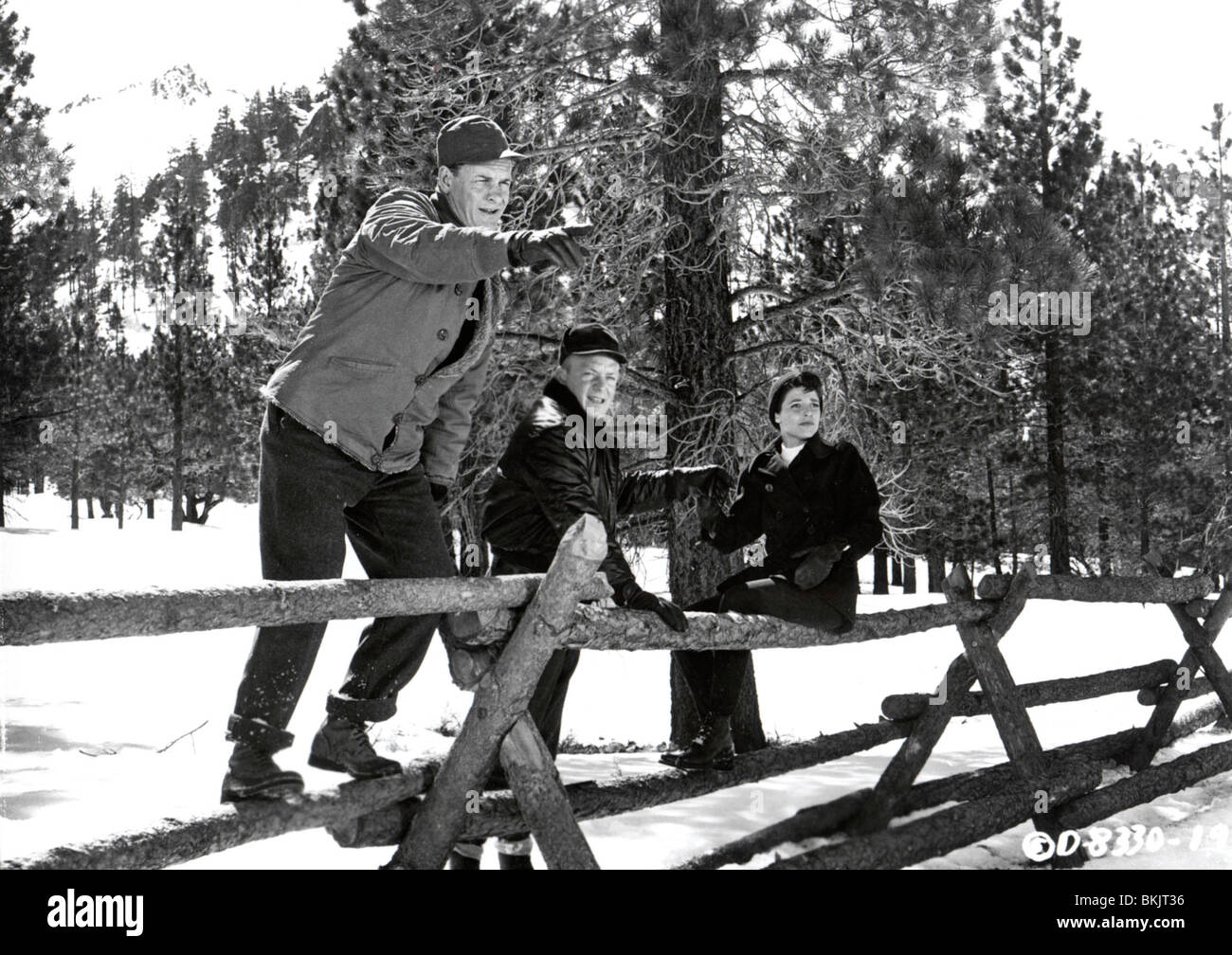 NIGHTFALL (1957) BRIAN KEITH, ALDO RAY, ANNE BANCROFT NFAL 005 P Stock ...