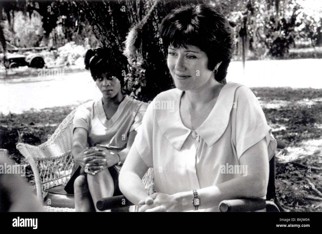 PASSION FISH (1992) ALFRE WOODARD, MARY MCDONNELL PSF 004 P Stock Photo ...