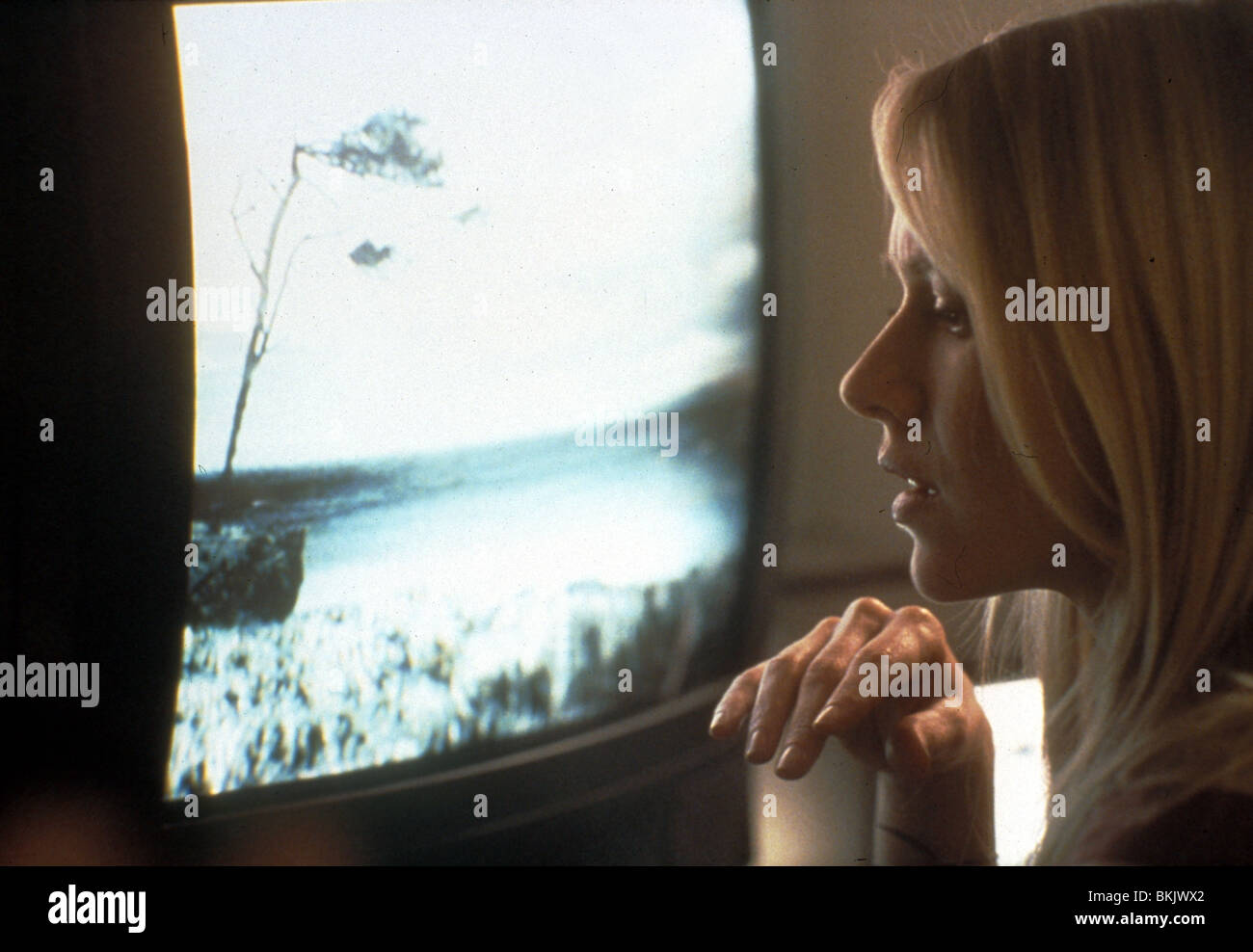 The ring 2002 movie hi-res stock photography and images - Alamy
