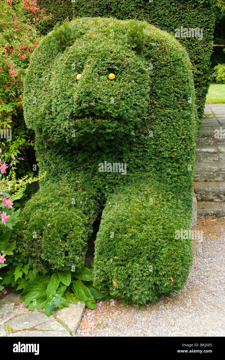 Topiary bear hi-res stock photography and images - Alamy