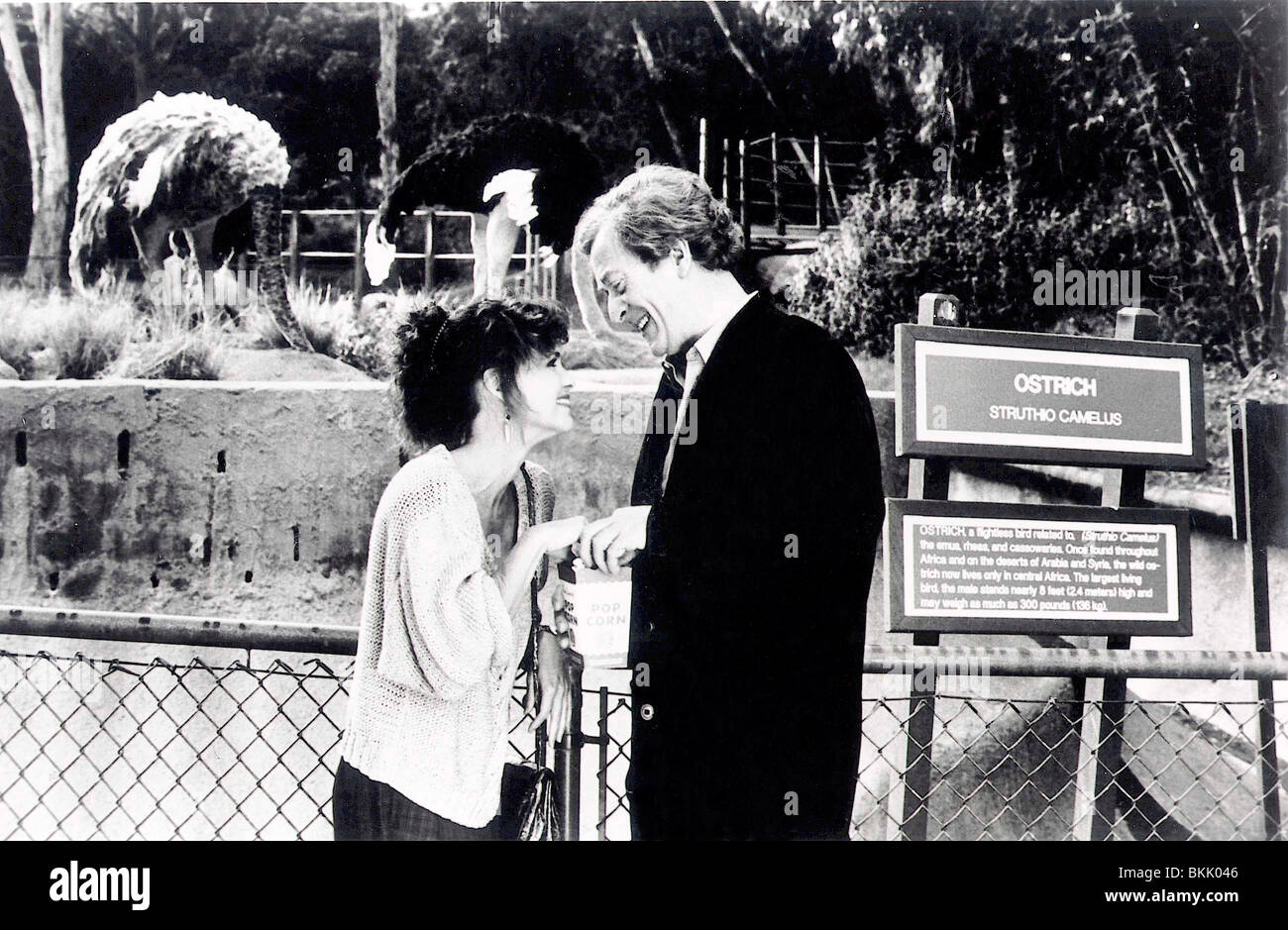 SURRENDER (1987) SALLY FIELD, MICHAEL CAINE SRD 011 Stock Photo - Alamy