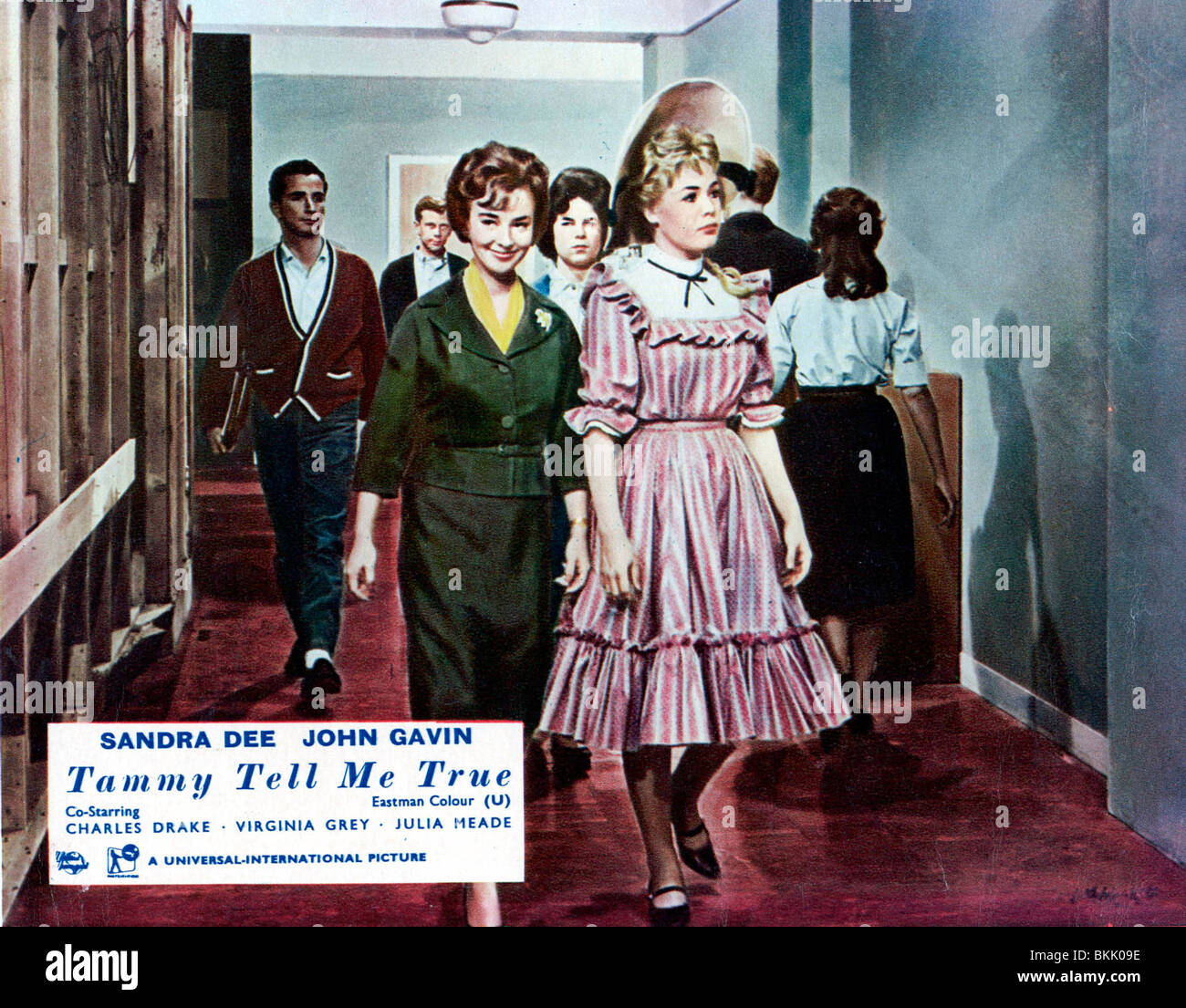 Tammy Tell Me True