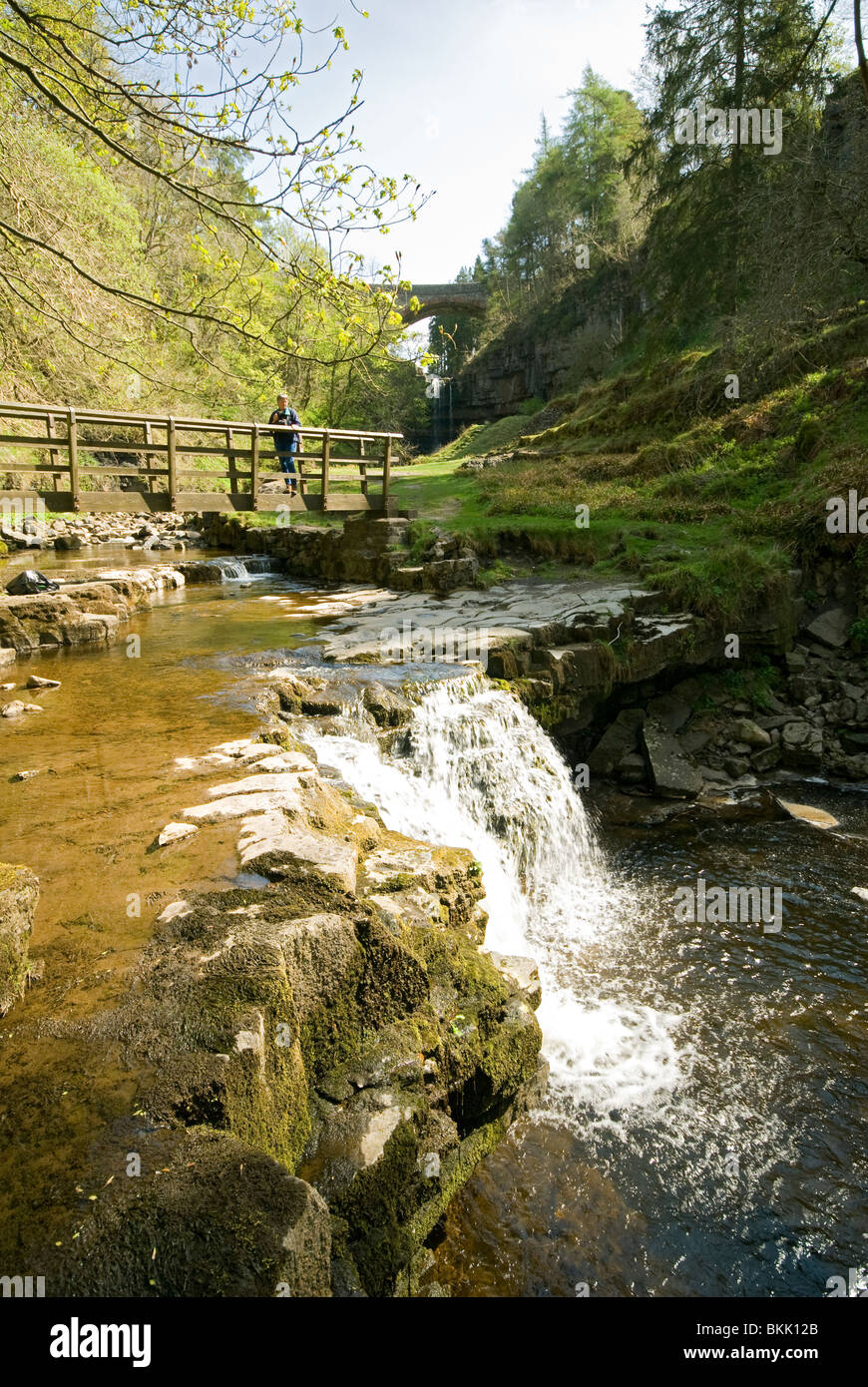 The footbridge below Ashgill Falls, near Garrigill, Alston, Cumbria ...