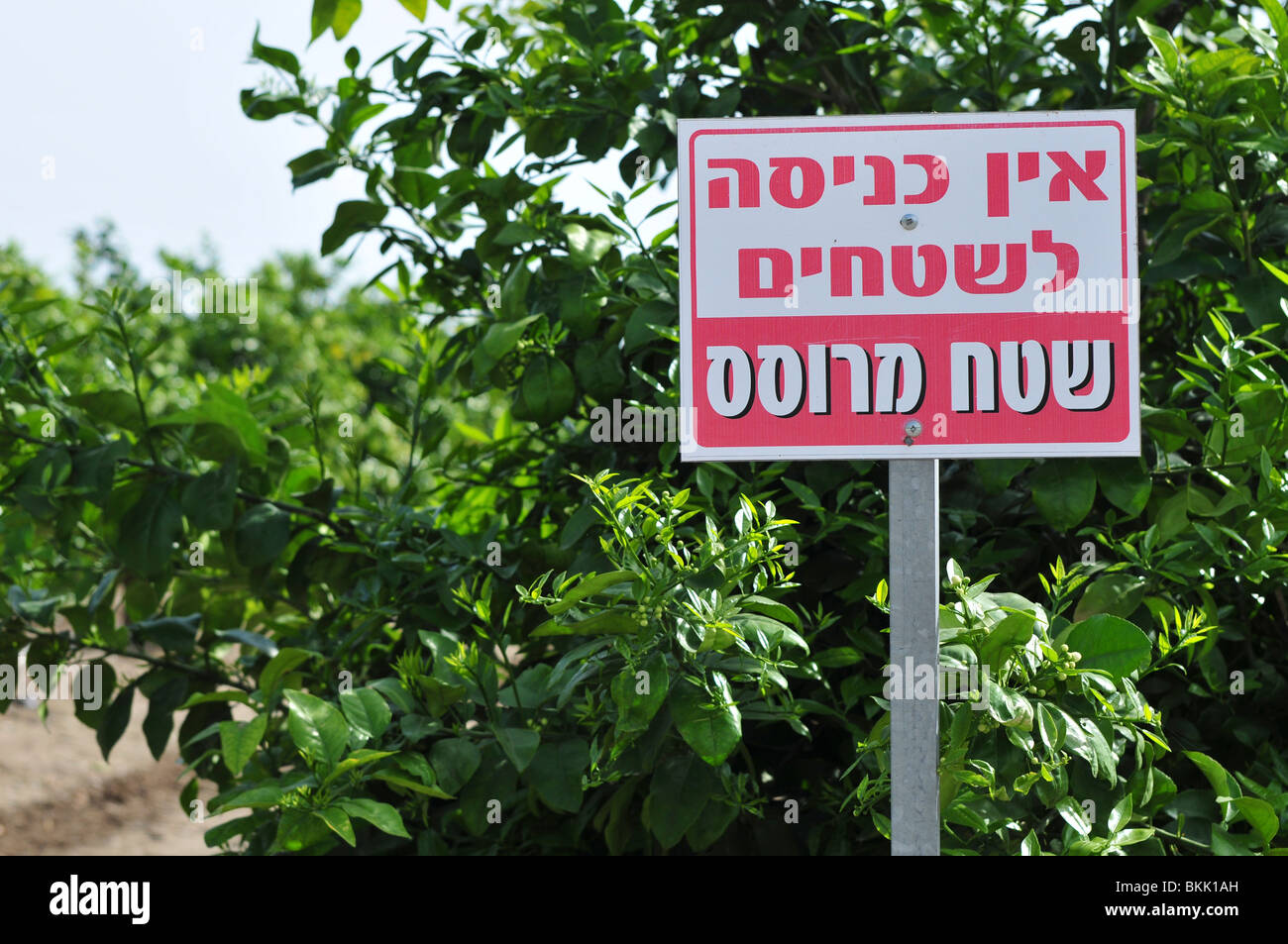 Israel kibbutz agriculture hi-res stock photography and images - Alamy
