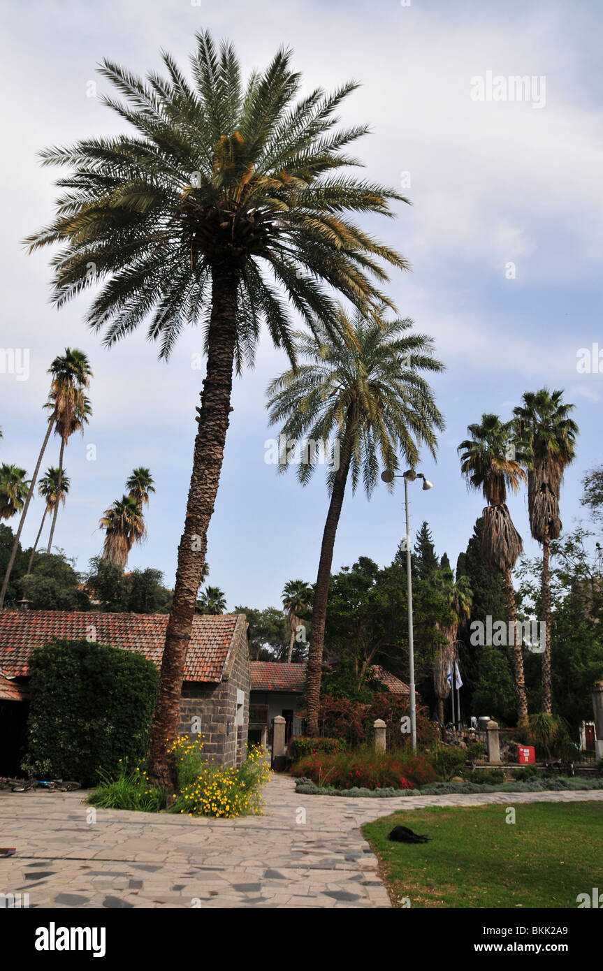 Kibbutz degania hi-res stock photography and images - Alamy