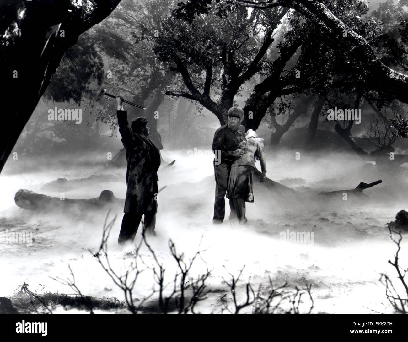 THE WOLF MAN (1941) CLAUDE RAINS, LON CHANEY JR, EVELYN ANKERS WLFM ...