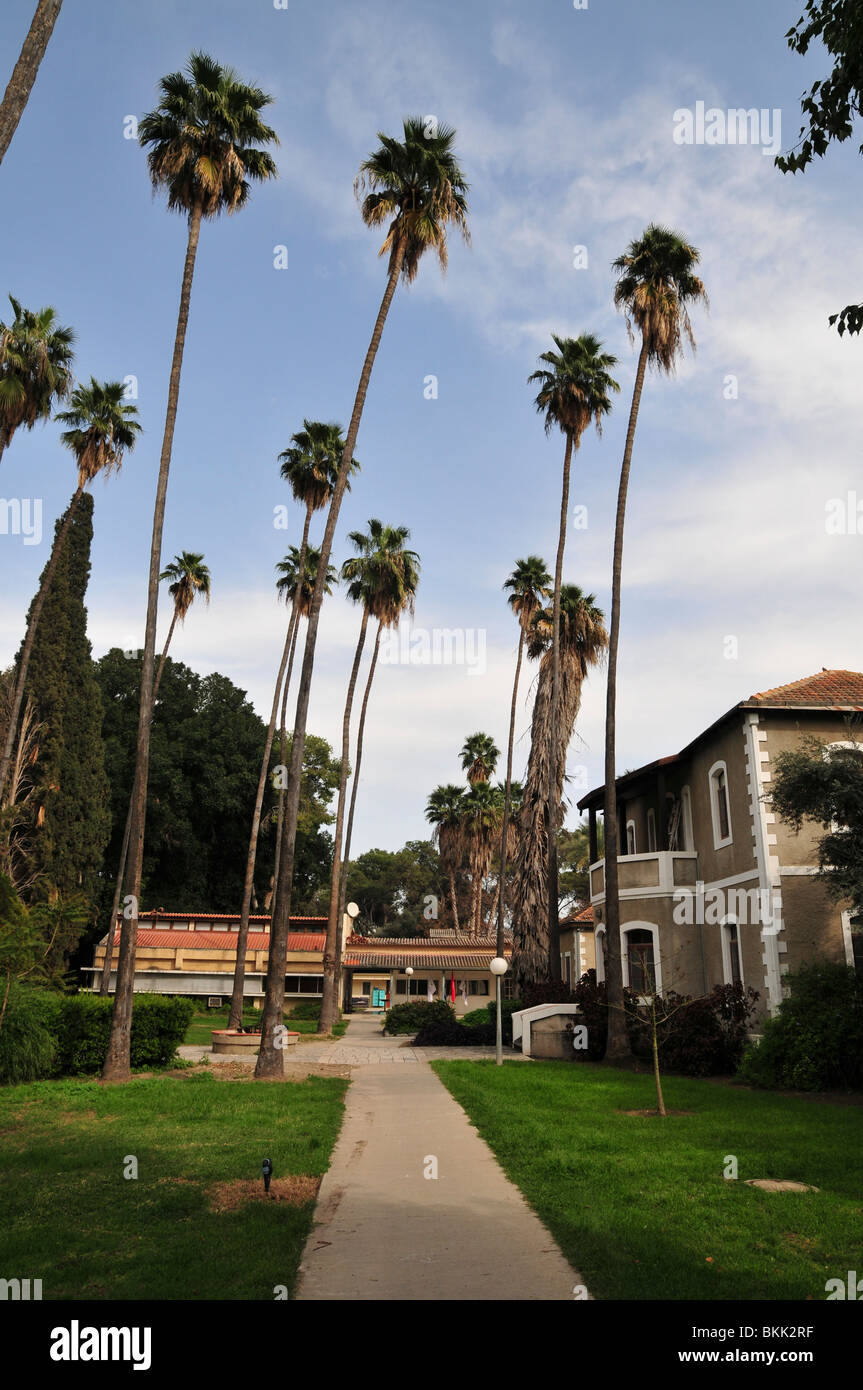 Kibbutz degania hi-res stock photography and images - Alamy