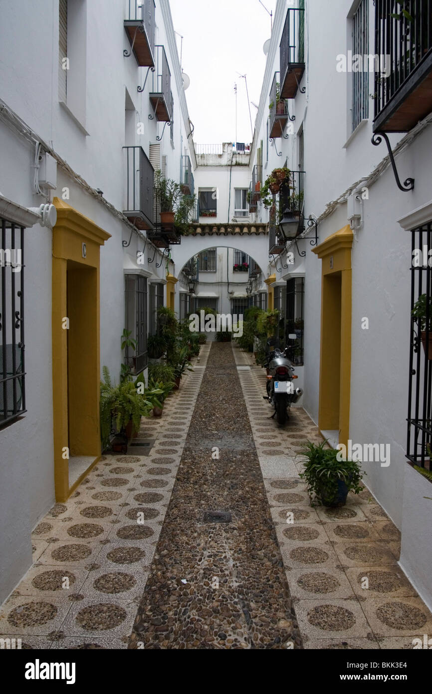 Plant pot alley Stock Photo - Alamy